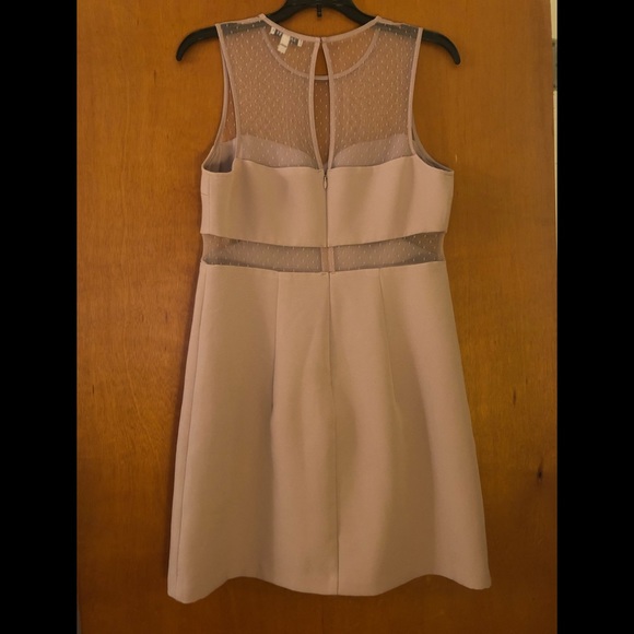 Express | Dresses | Blush Dress With Mesh Cutouts | Poshmark